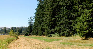 Southwest Community Park (undeveloped) | City of Gresham